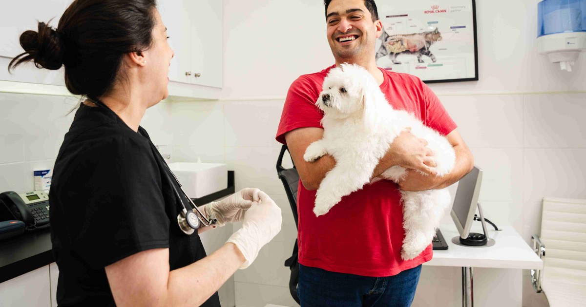 Mobile Vets at Home | Home Vet Services for Pets in Dubai