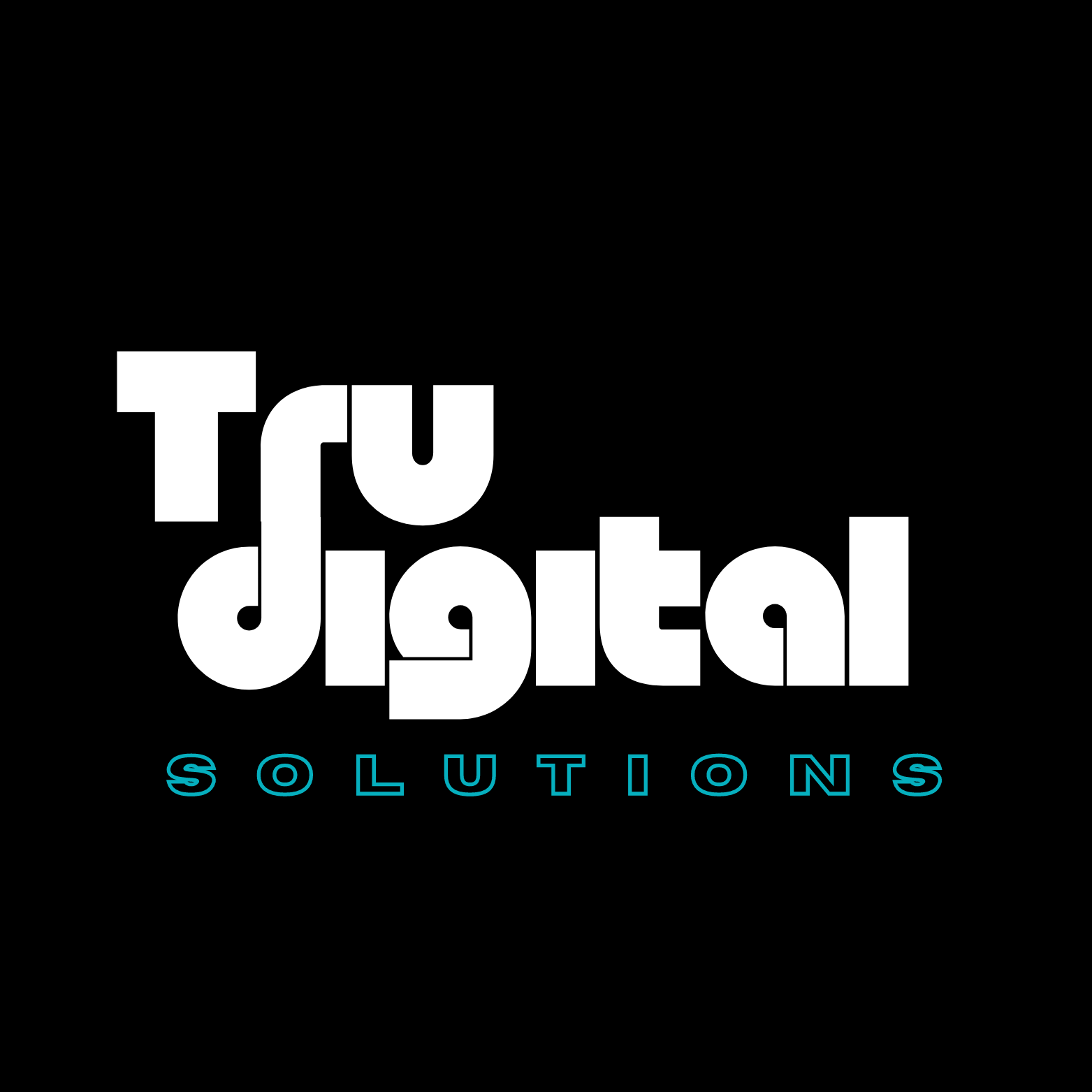 SEO- Tru Digital Solutions