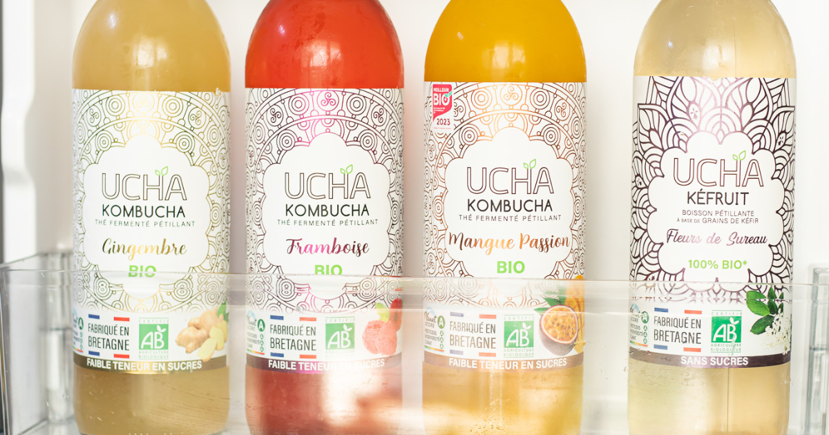 The world of kombucha between recipes, origins, and festive ideas