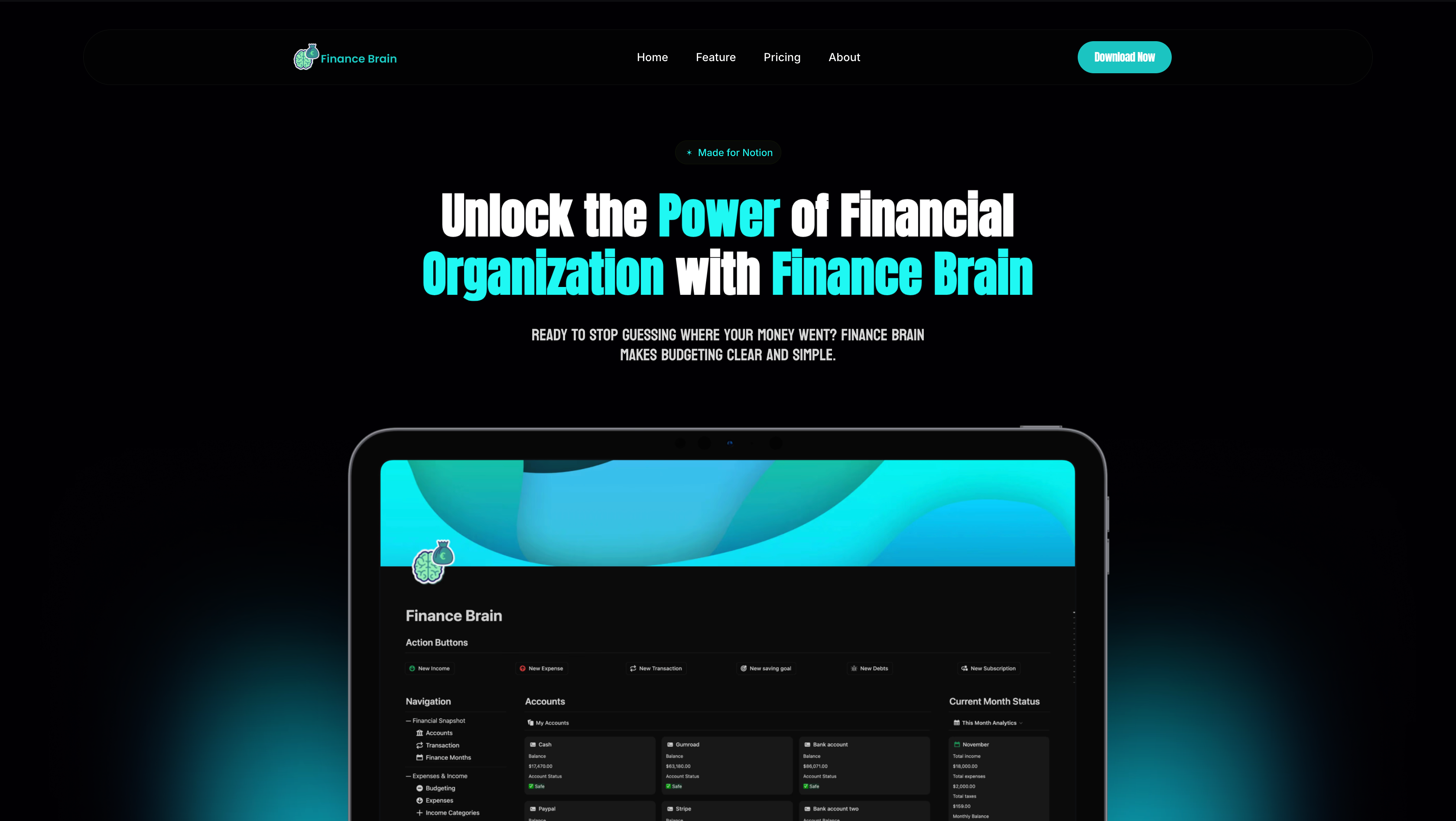 Notion Finance Brain