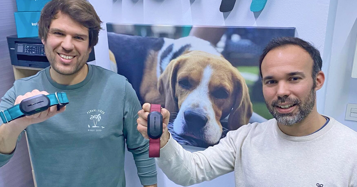 Dale más vida a tu perro con Kolyy