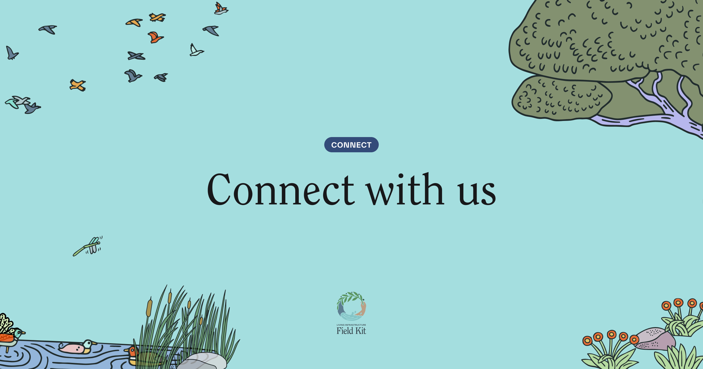 Connect with us