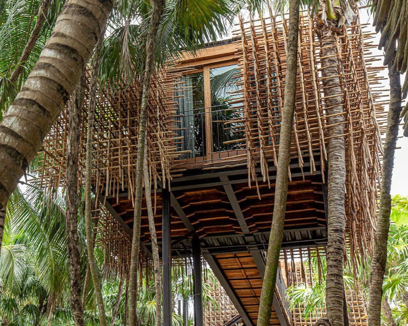 Nômade Tulum: Treehouses