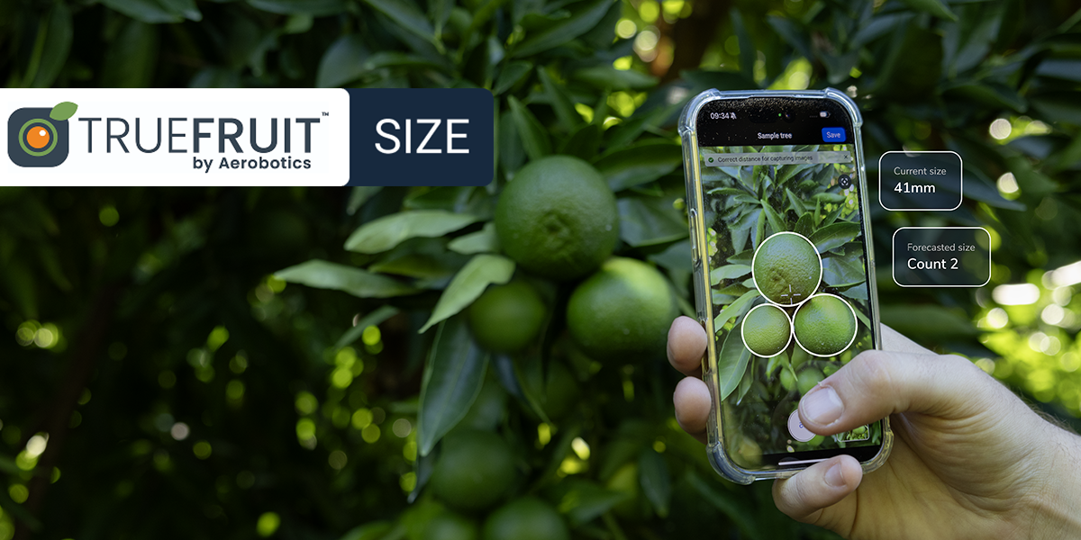 TrueFruit Size | Precise fruit sizing & size forecasting