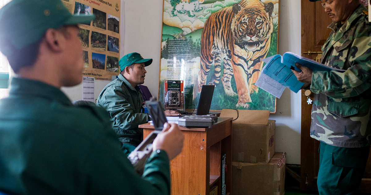 Best Practices & Insights in Tiger Conservation