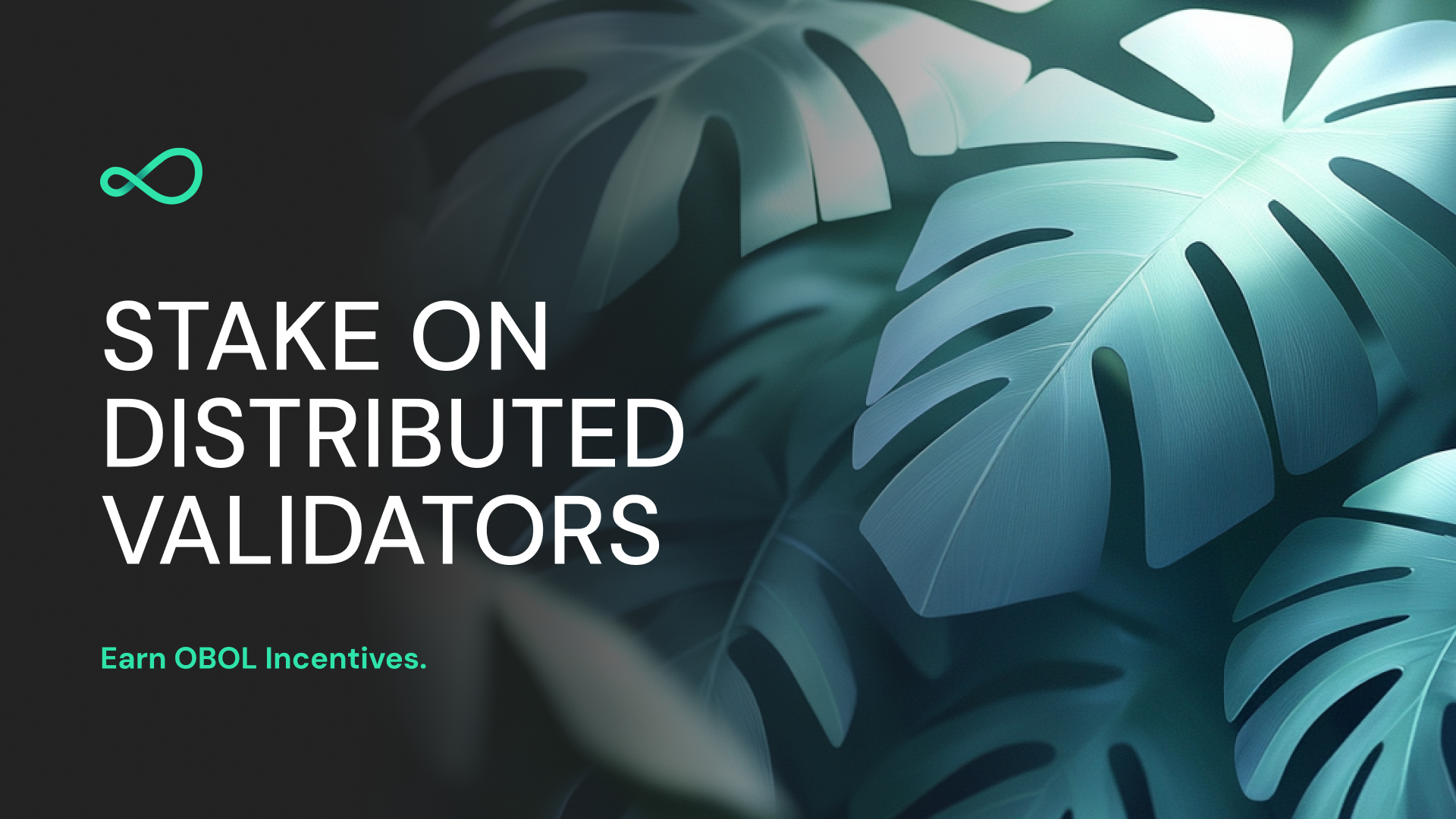 OBOL Incentives Program