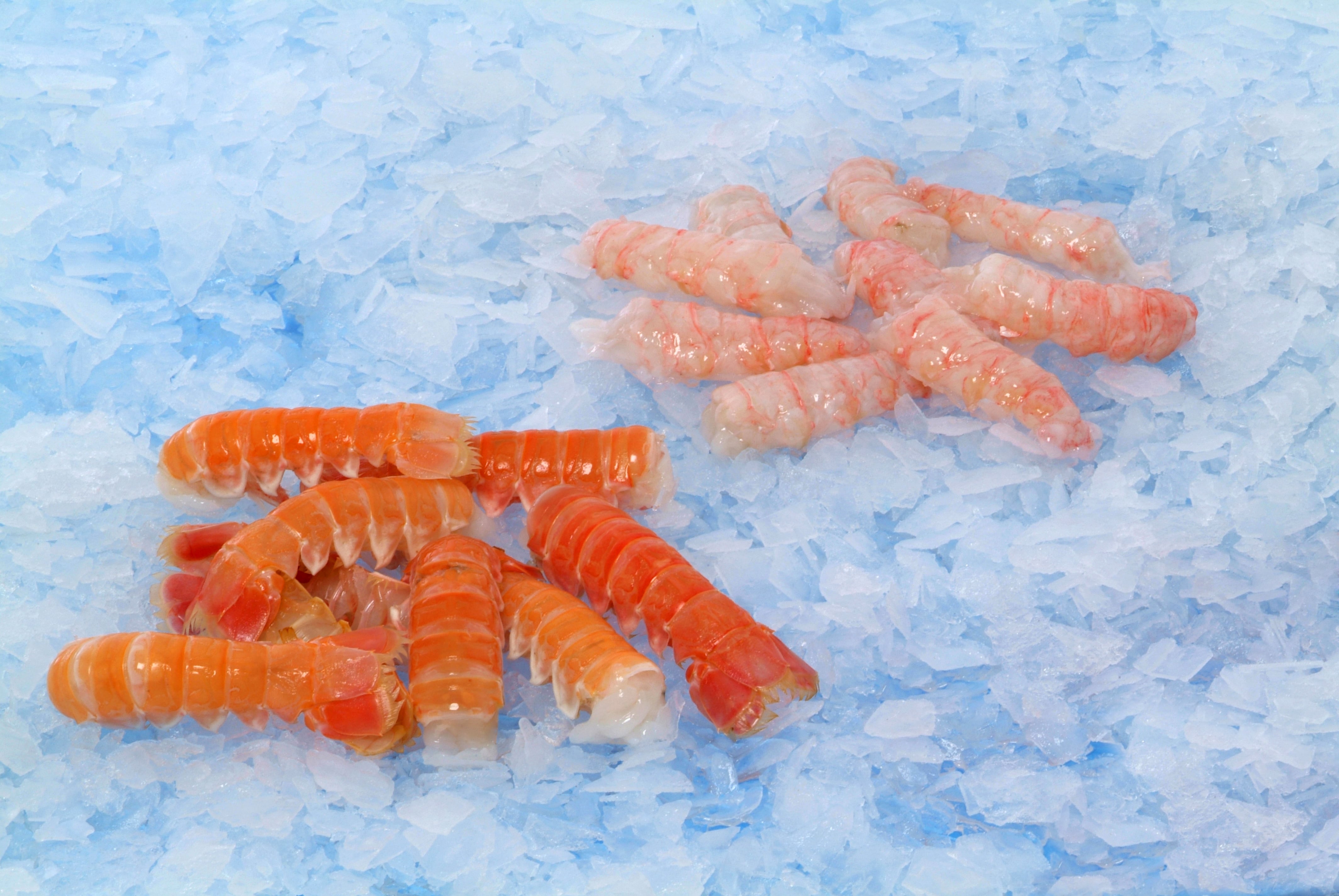 Glenmar Shellfish Ltd.