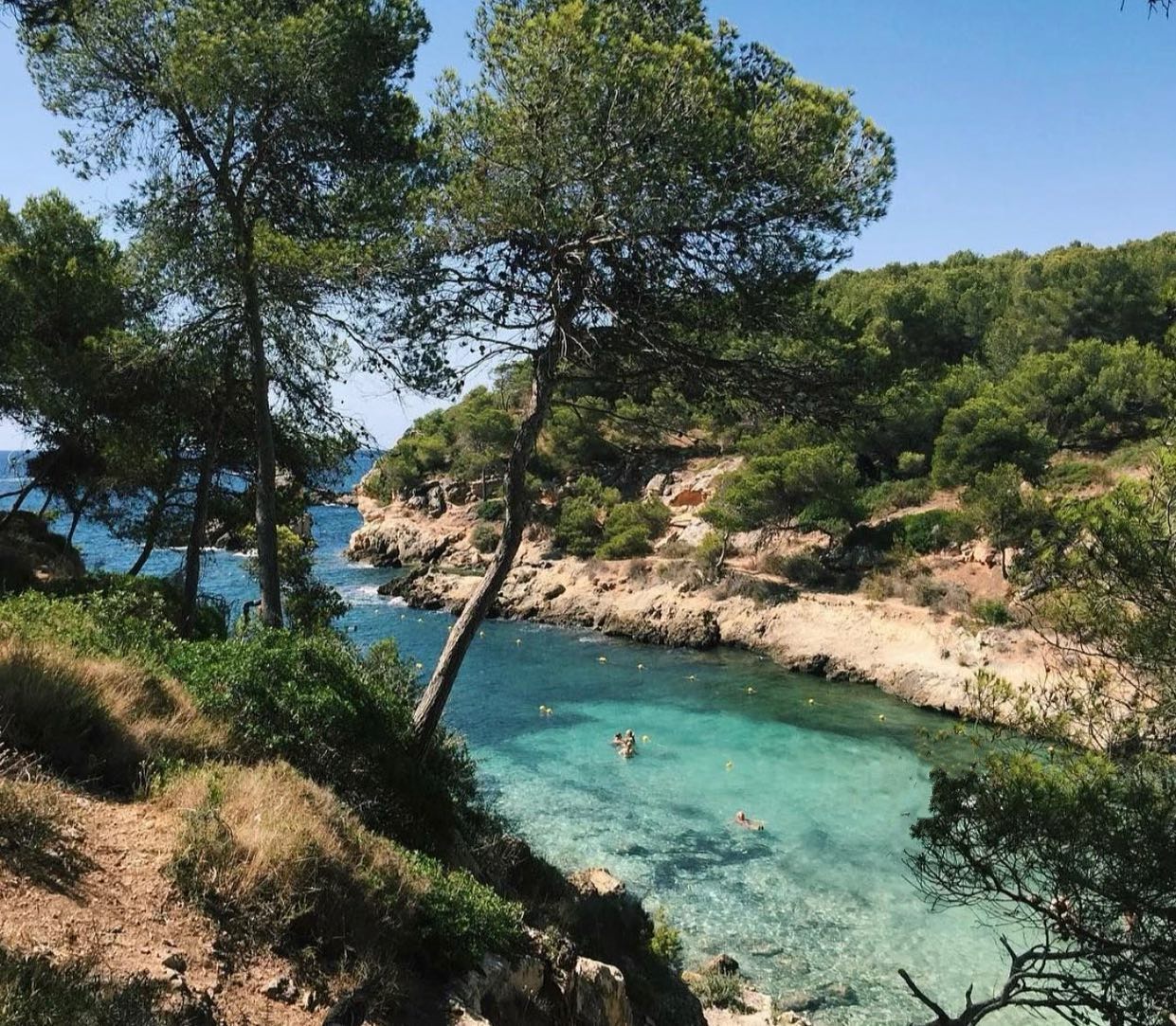Cala Cap Falco | Calvia de Mallorca