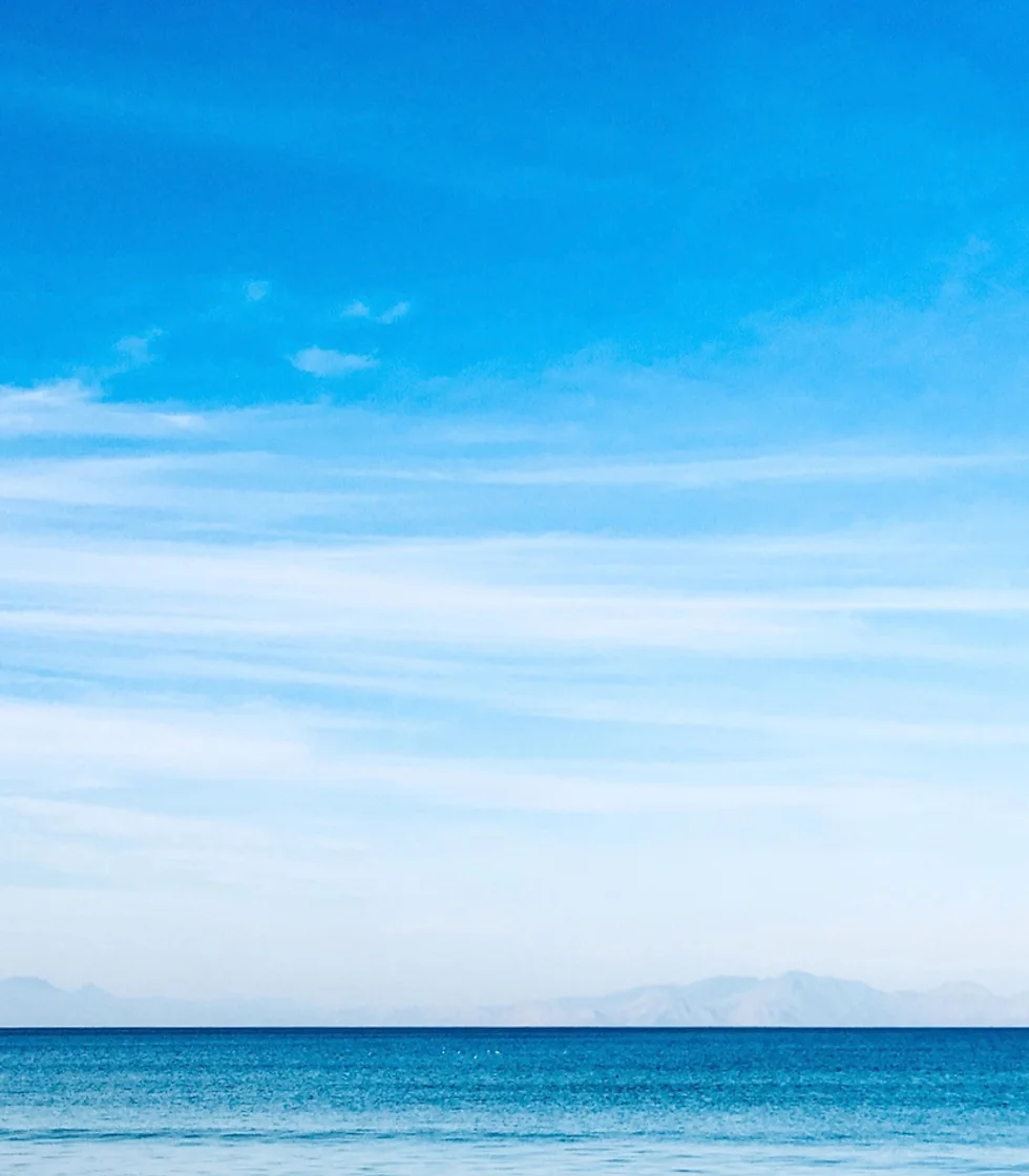 TSF Textiles | Premium Fabrics and Textile Innovation