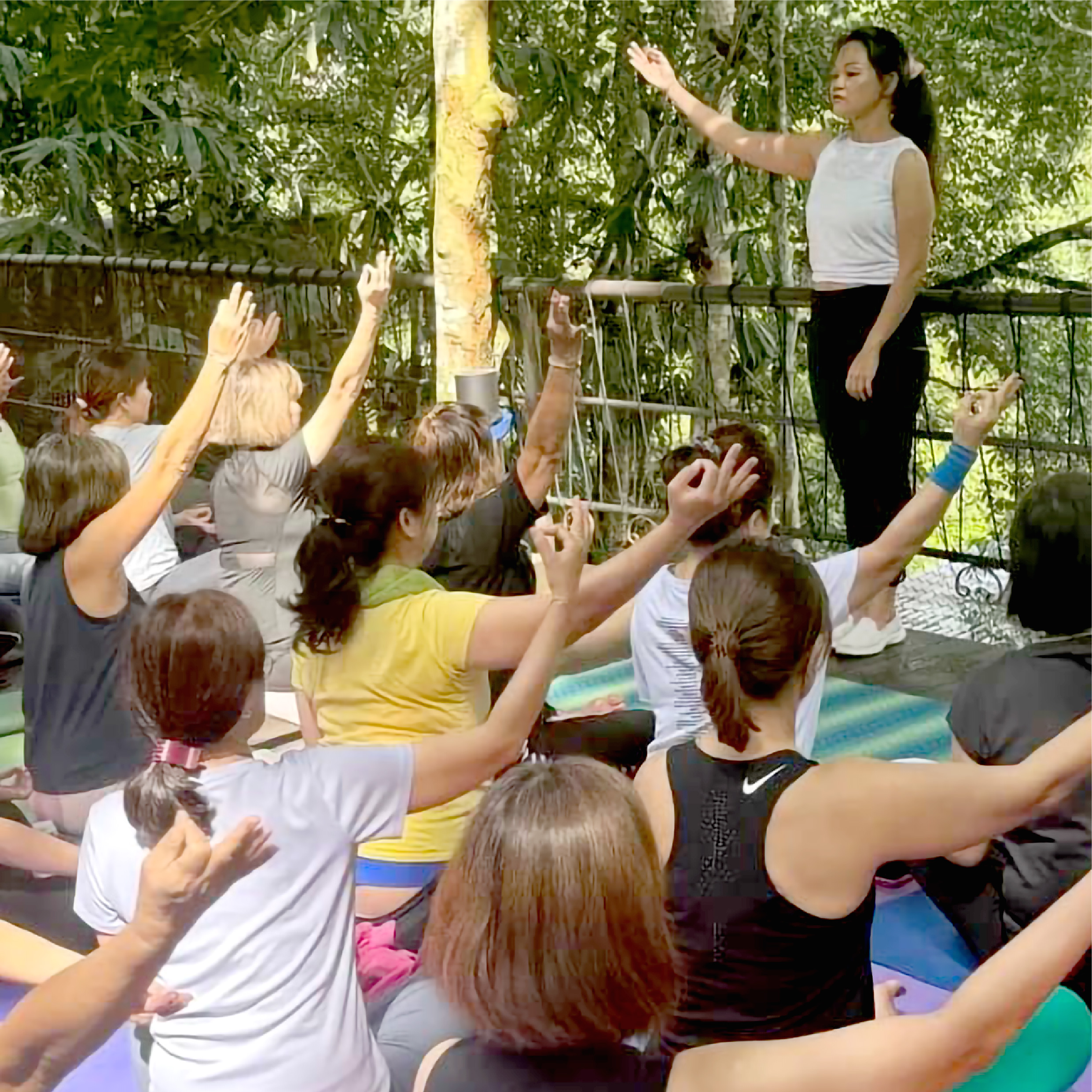 Surya Retreat | Surya Yoga Studio