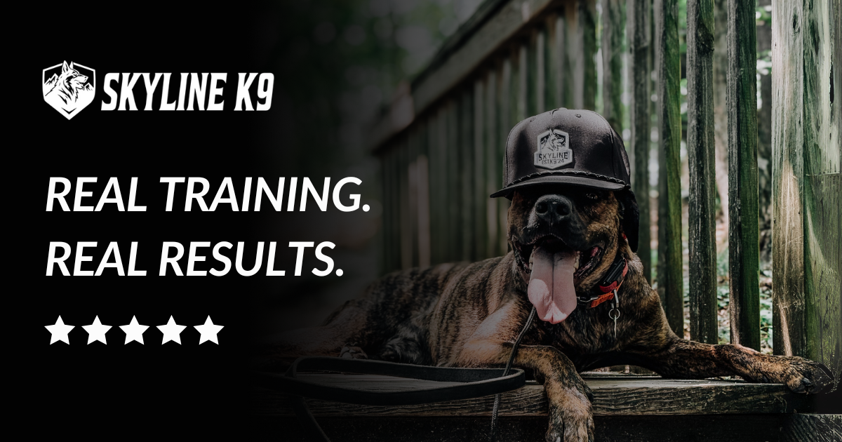 Book Your Free Dog Training Consult | Contact Skyline K9