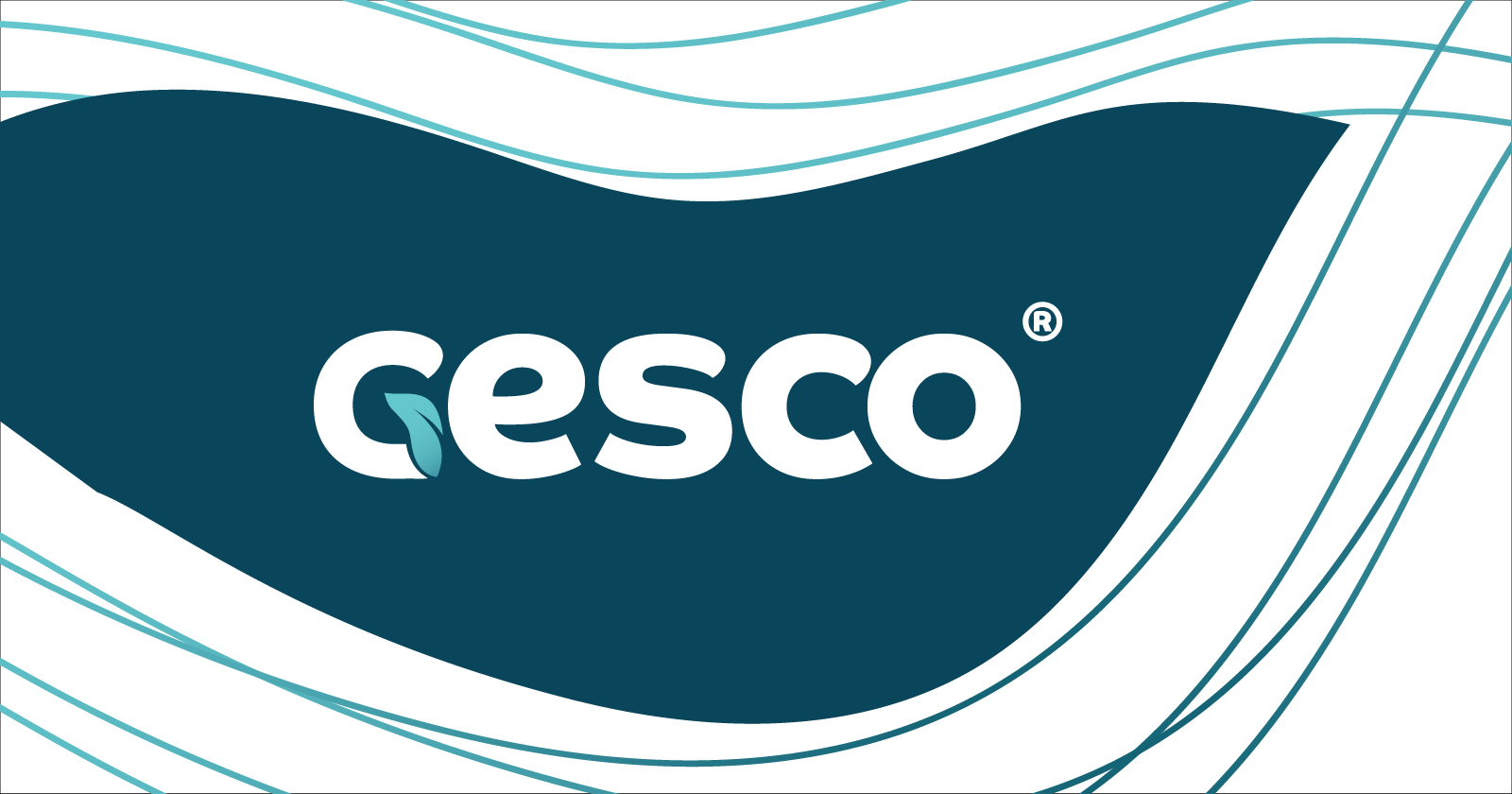 welcome to gesco group site