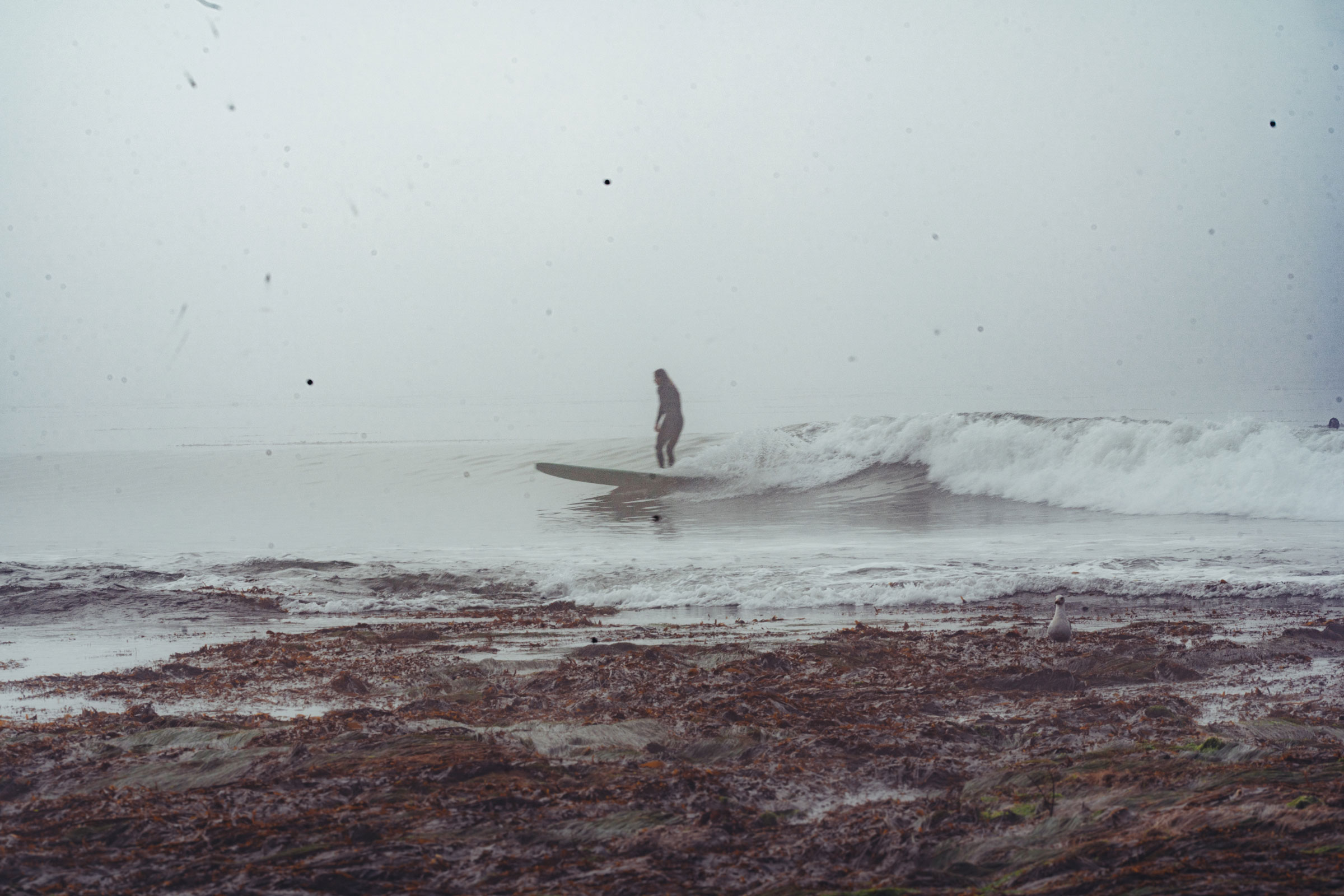 Chris Wiley | Creative Director, Photographer