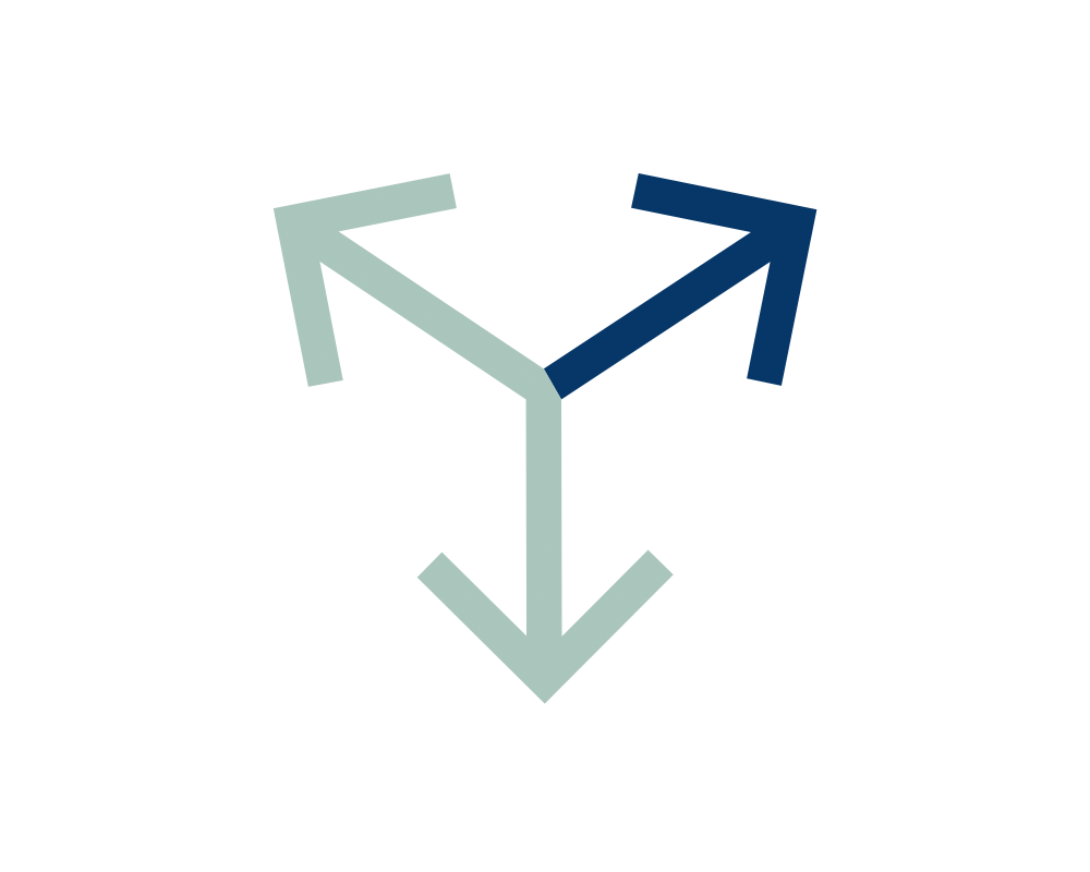 Triaxis Capital - English