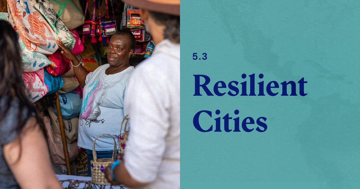 Resilient Cities