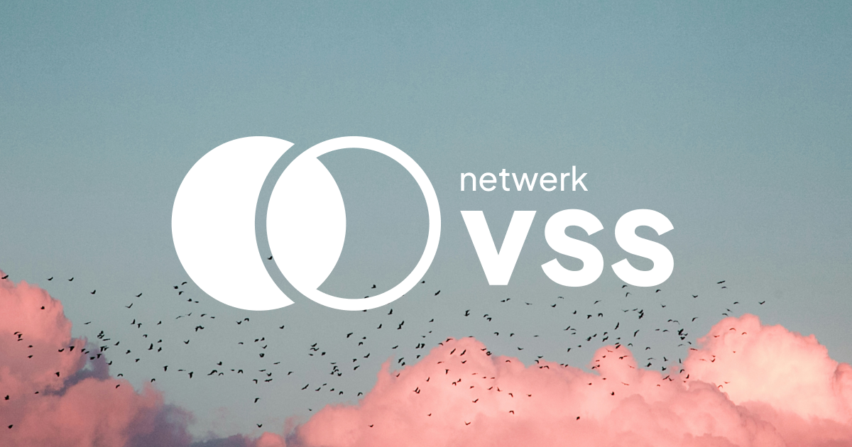 Netwerk VSS