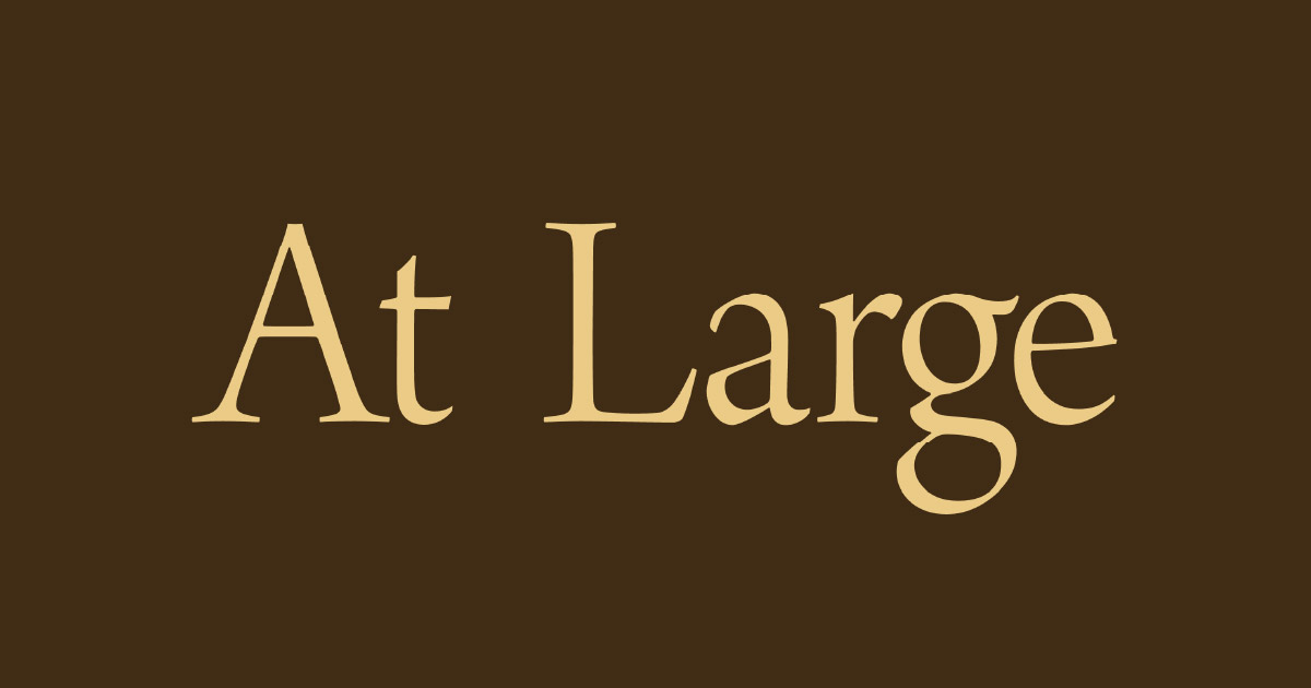 At Large Consult