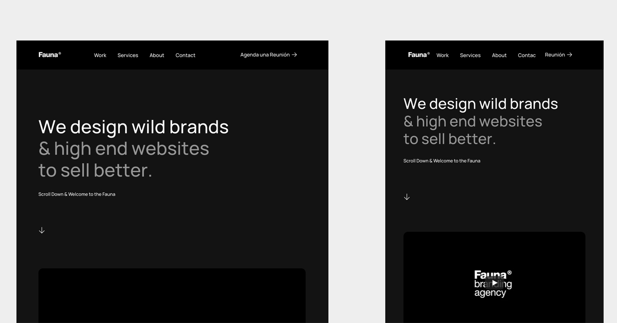 Fauna branding agency