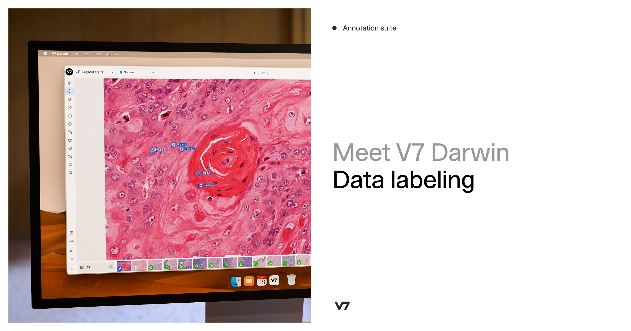 V7 Darwin | AI Data Labeling & ML Training Data Platform