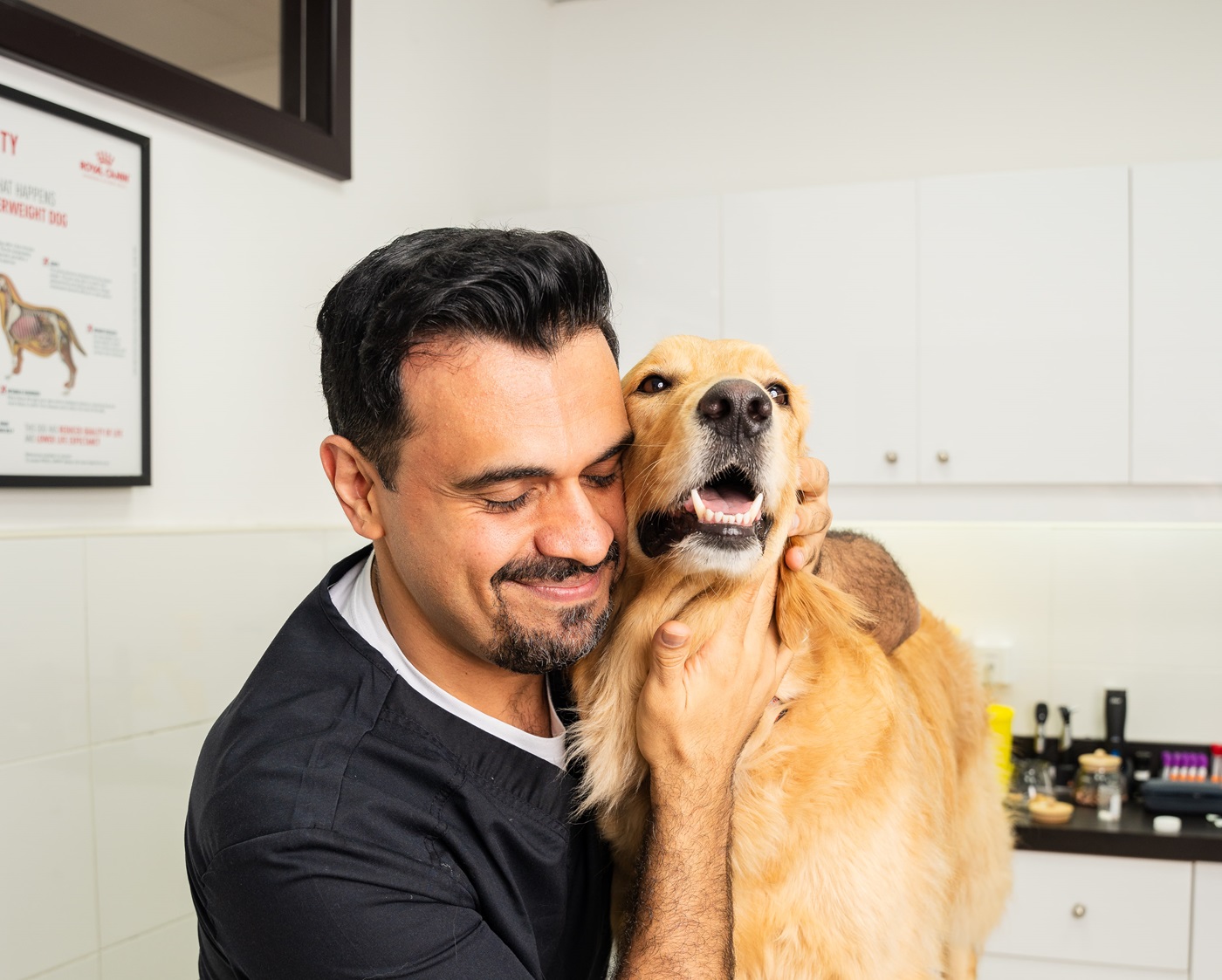 Pet Microchipping in Dubai | Safe and Compliant Registration