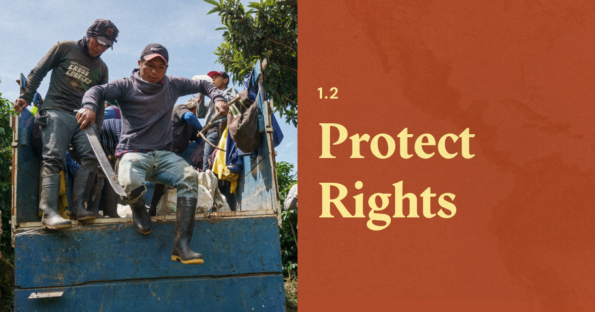 Protect Rights