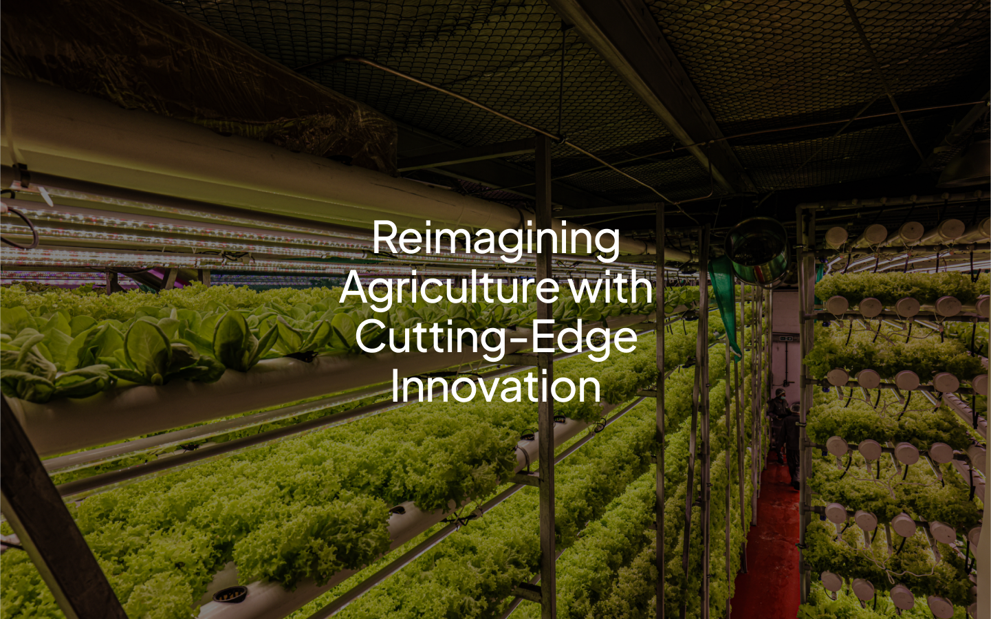 The Basics of Soilless Farming: What You Need to Know - Smart Grow ...