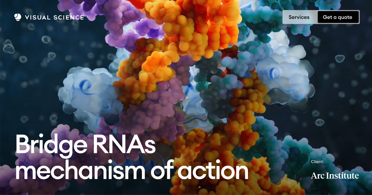 MoA Animation Bridge RNA Case Study | Visual Science