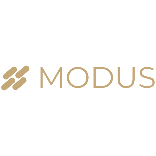 Modus AI | South African AI Automation Agency