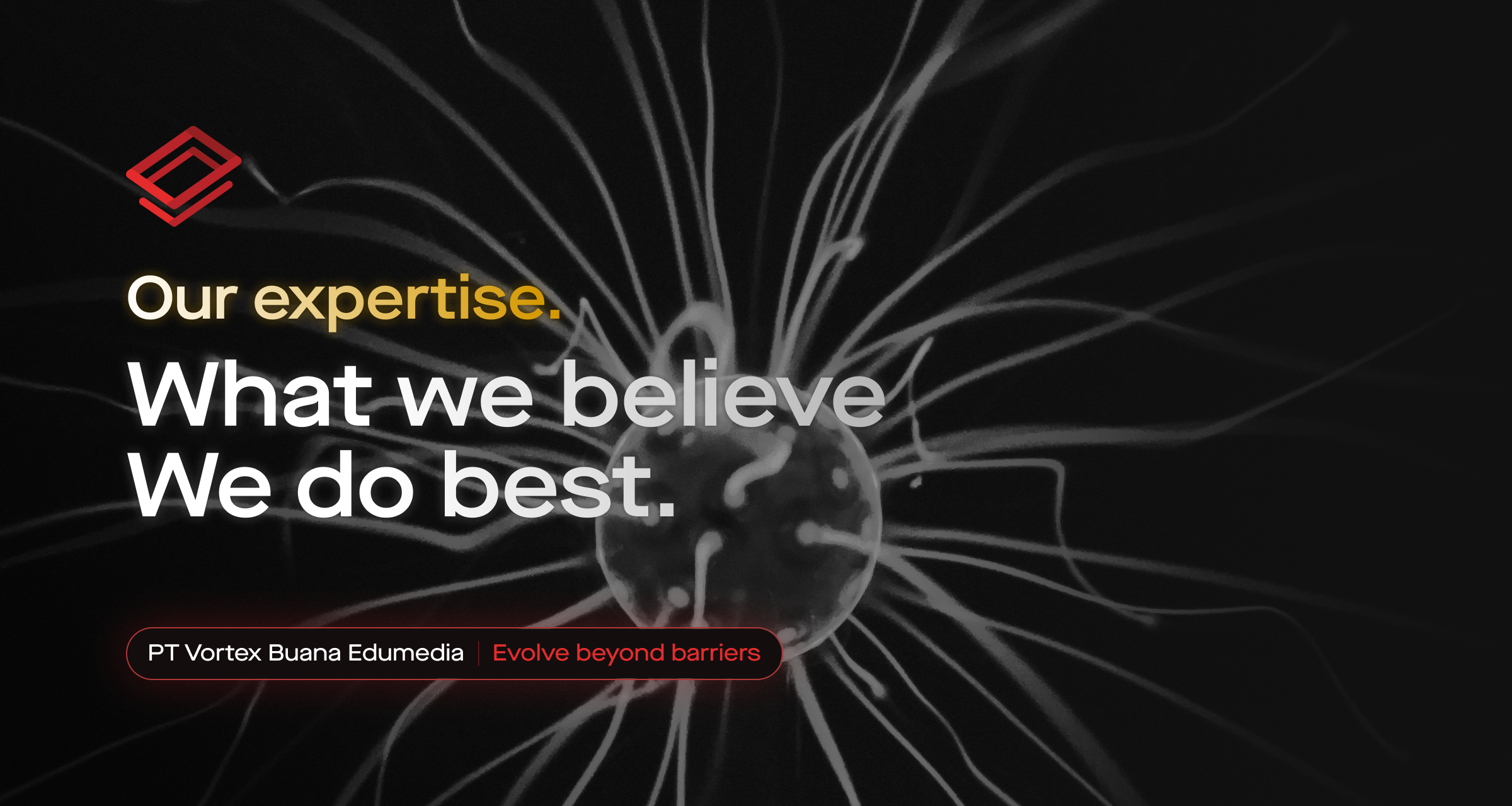 Expertise • Vortex