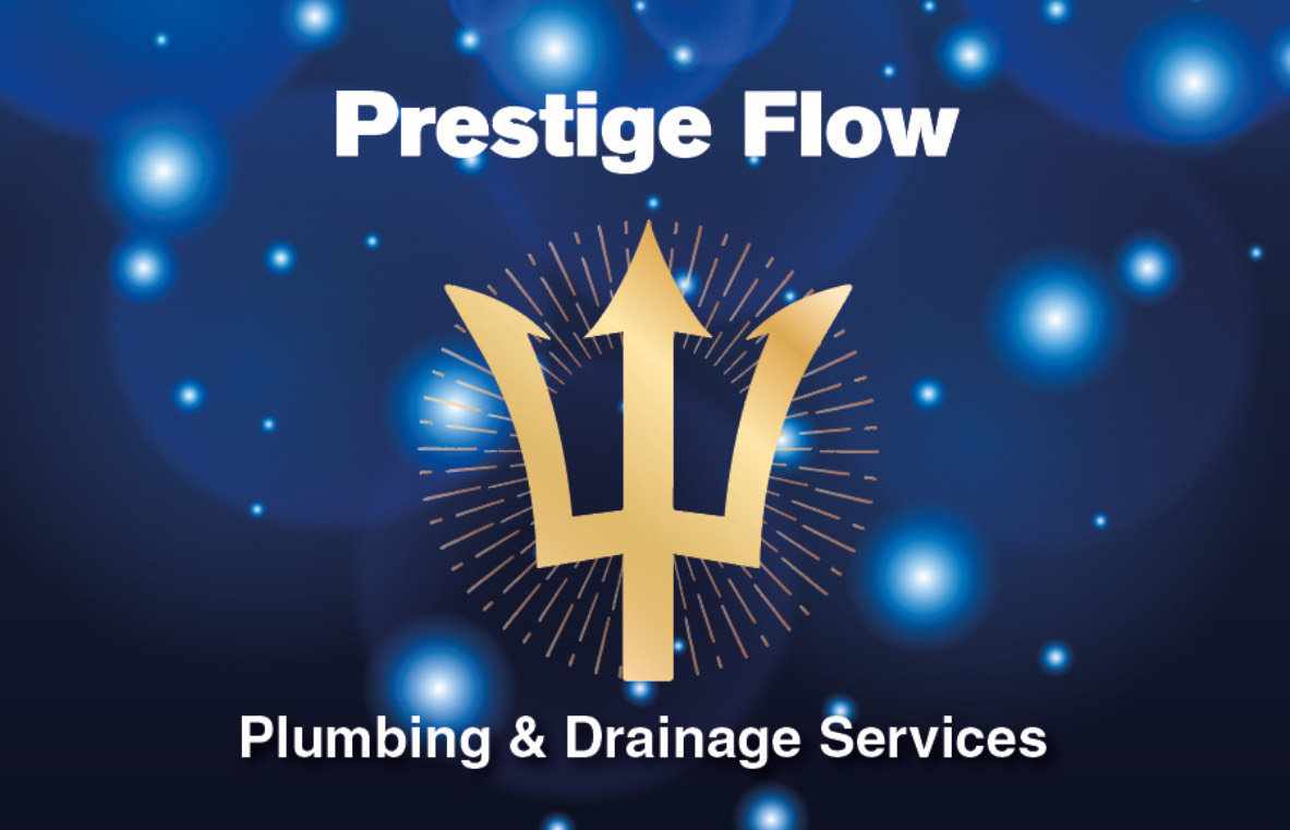 Drainpipe Patch Lining and Maintenance in Southwest & West London and ...