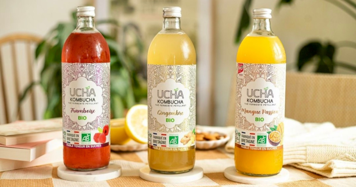 La recette du kombucha maison | UCHA