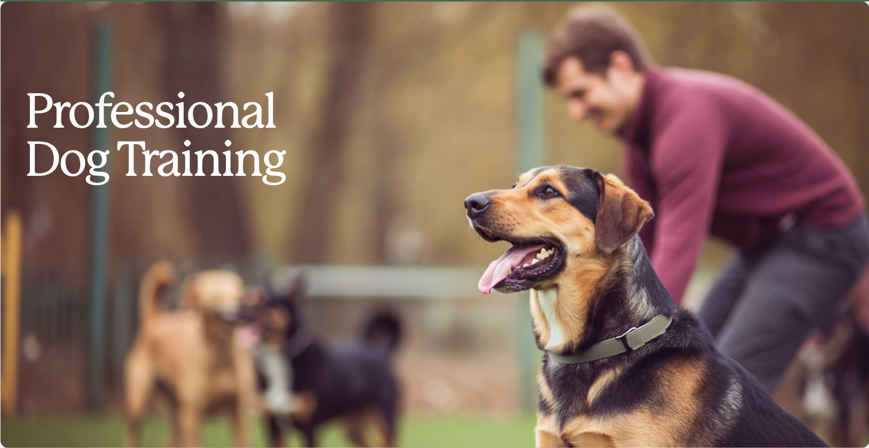 Dog Person | Professional Dog Trainer & Dog Training Classes