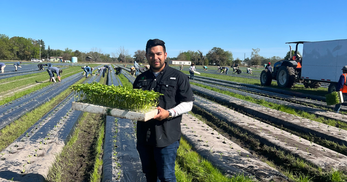 Golden Eagle Ag Labor: Spotlight | Seso, Inc.