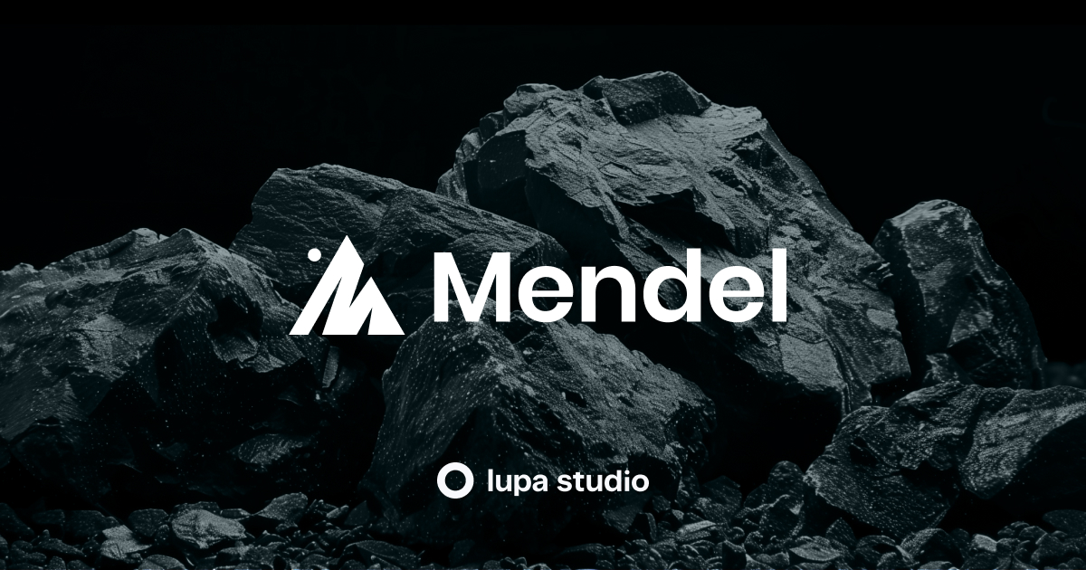 Mendel Case Study | Lupa Studio