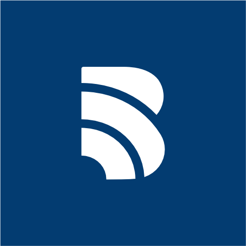 BSS - Bionic System Solutions