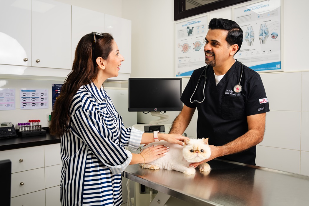DIP Vet Clinic in Dubai | Emergency Pet Care at Noble Vet DIP