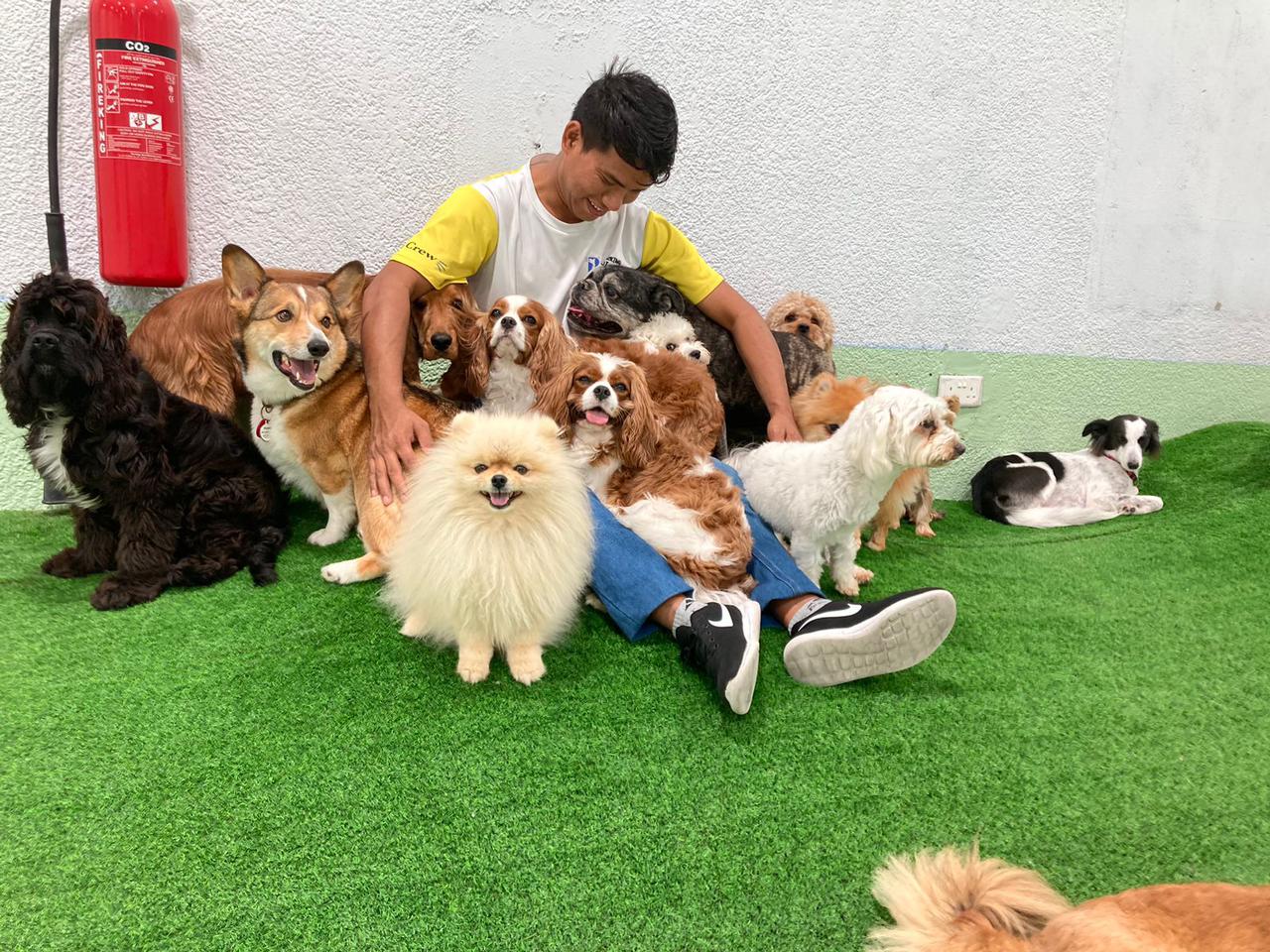 About Us | Learn More About The Barking Lot and Our Mission