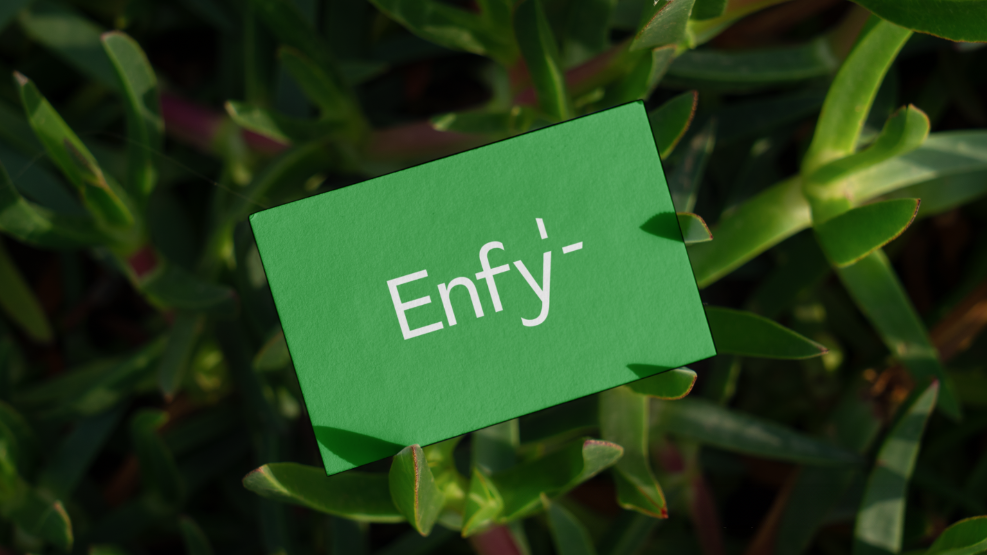 Enfy - Ta kontroll over energien din!