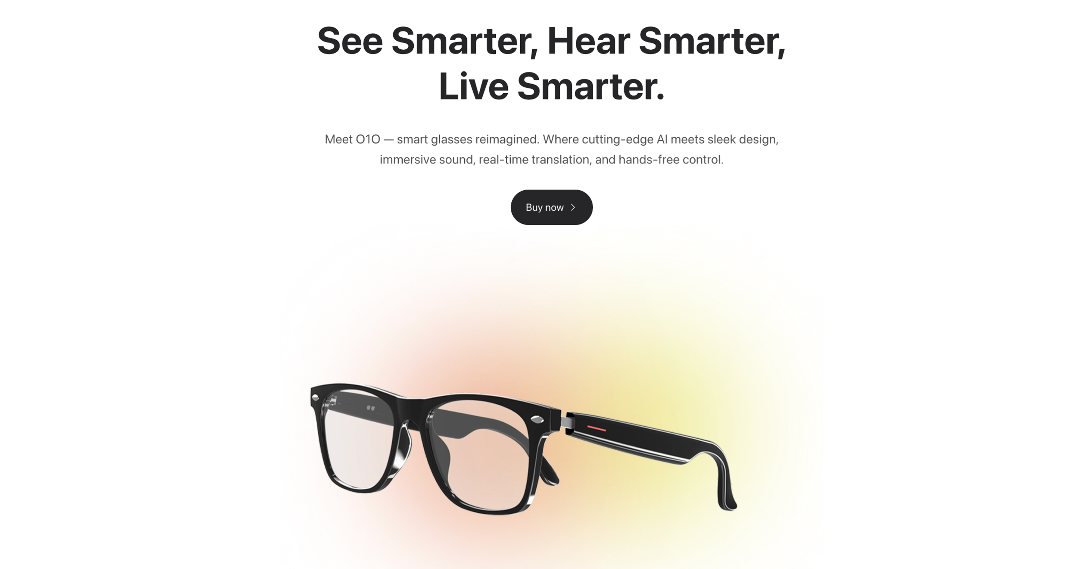 O1O - AI WEARABLE
