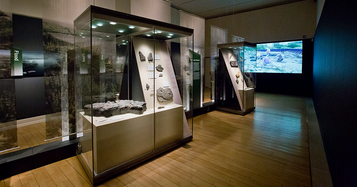 Projects | Museum & Gallery