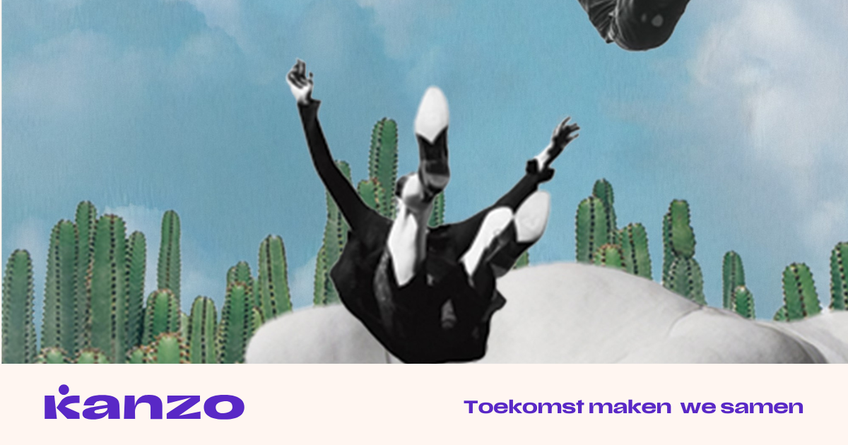 Nieuwe aanpakken onderzoeken ⚬ Kanzo