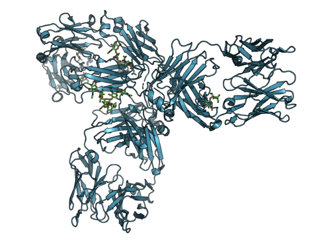 Boltz 2 State Of The Art Structure And Binding Affinity Prediction