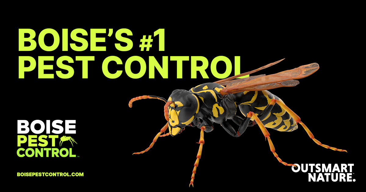 Complete Pest Control | Boise, ID Specialists