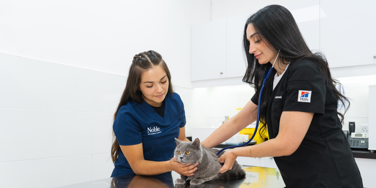 Dr. Flora Awwad | Noble Veterinary Clinics