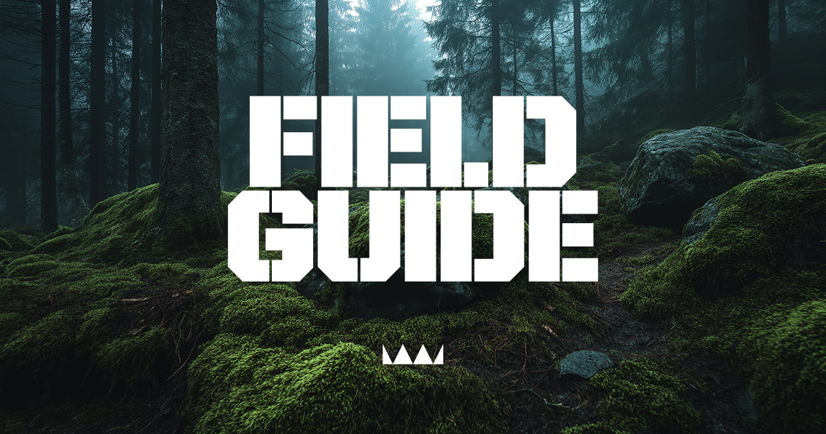 Field Guide: Self-Paced Video Training for Agency Owners