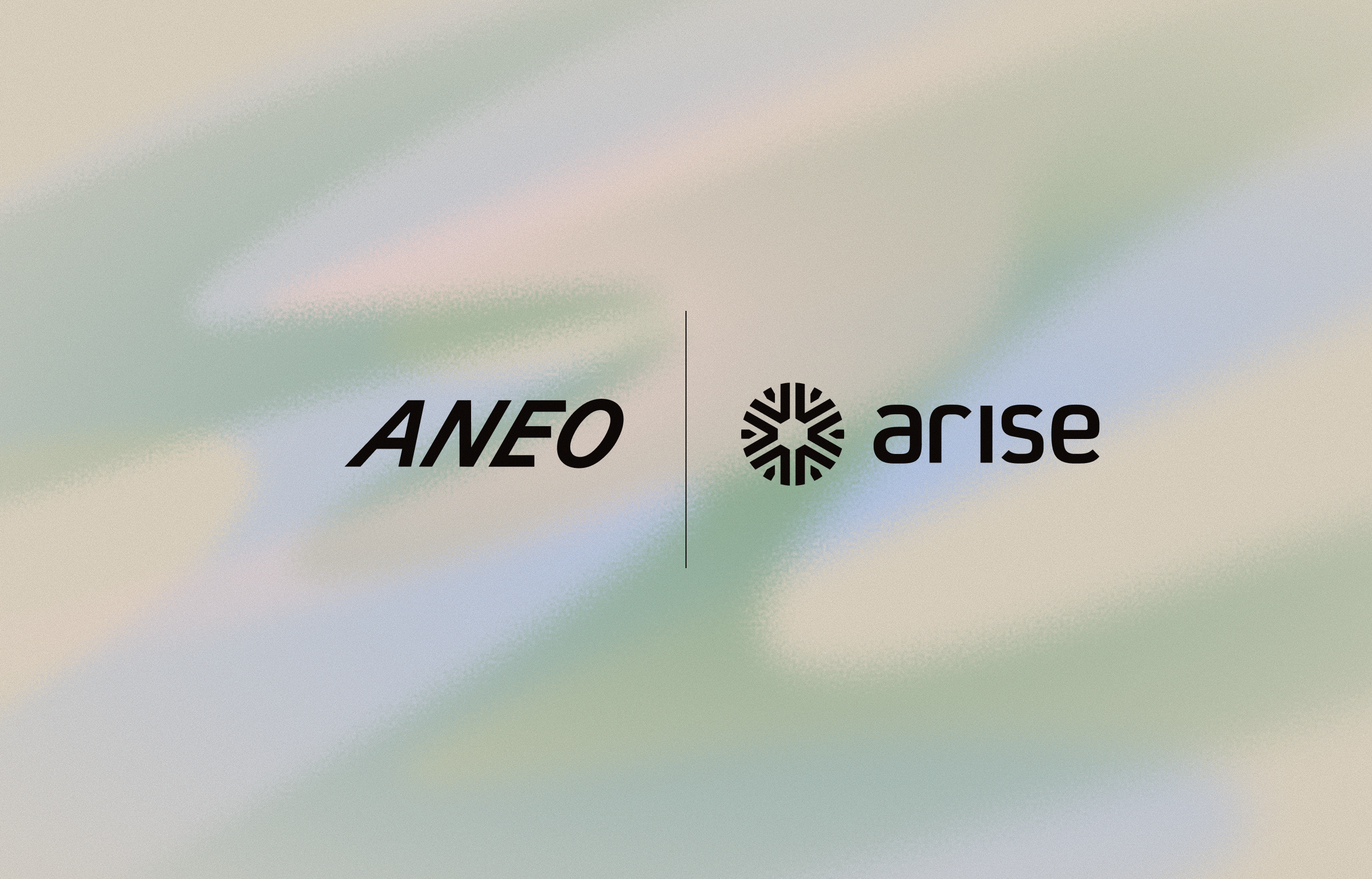Erbjudande till aktieägare i Arise – Aneo