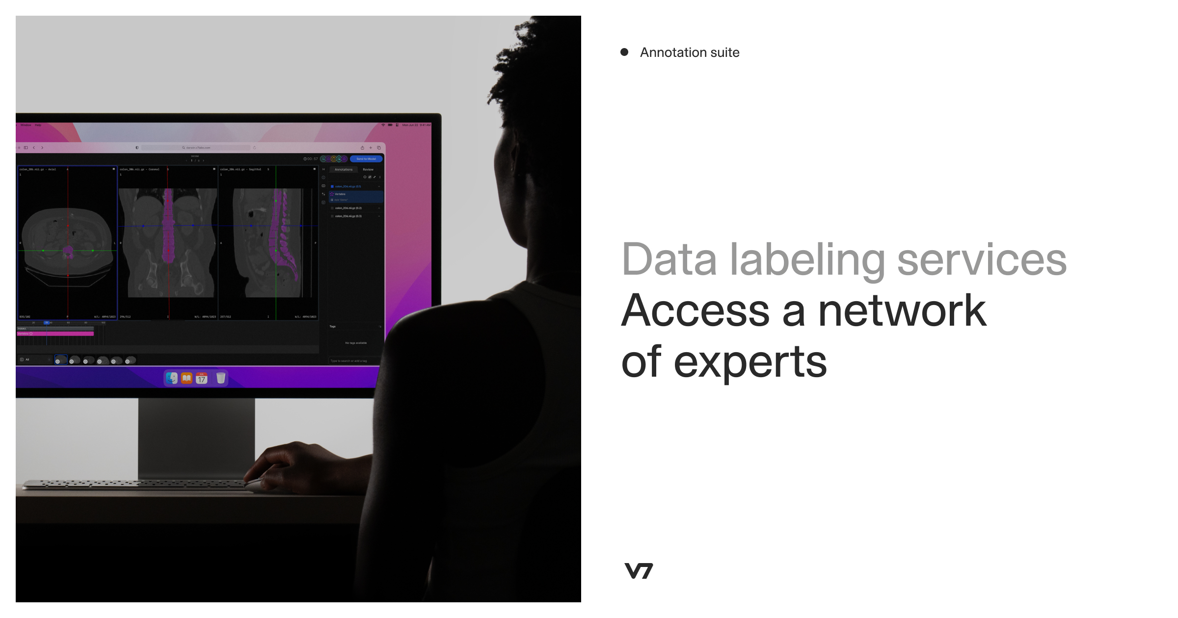 Data Labeling Services With V7