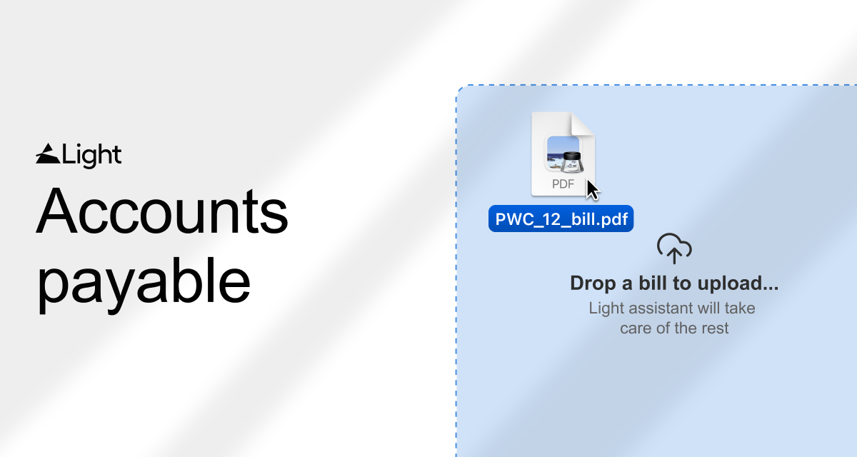 General Ledger, Accounts Receivables & Payable Solutions | Light