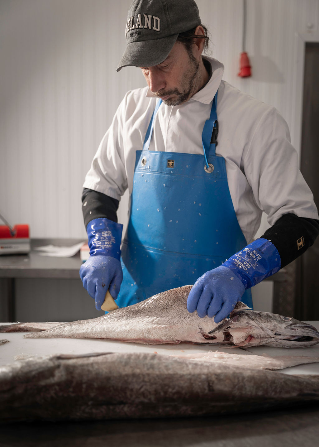 Glenmar Shellfish Ltd.