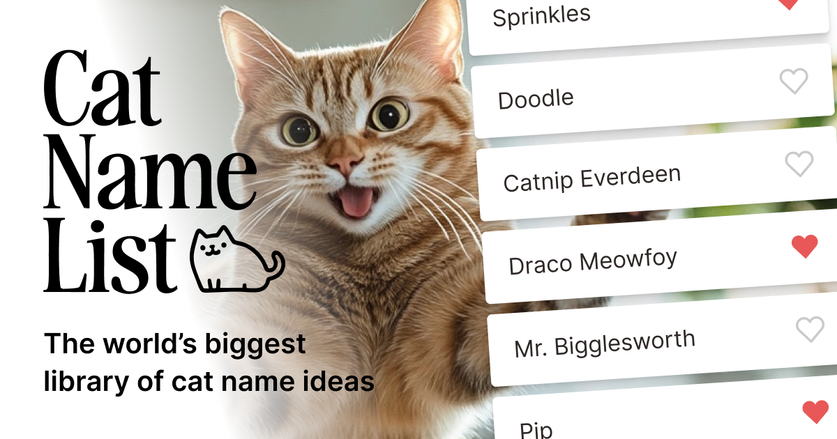 Black and White Cat Names - Cat Name List - The ultimate source of cat ...